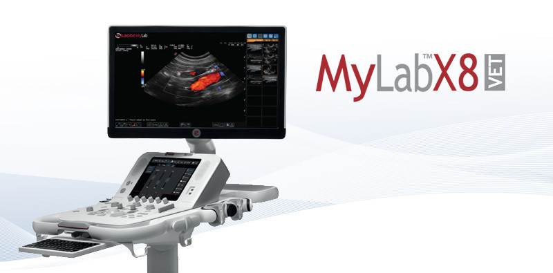 MyLab ™ X8VET - Turkey