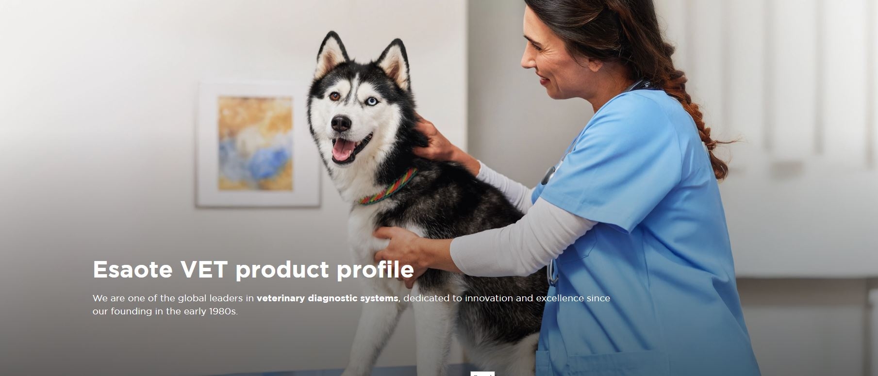 VET MRI SİSTEMLERİ - Turkey